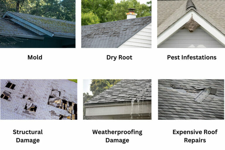 What To Do When Shingles Are Falling Off Your Roof